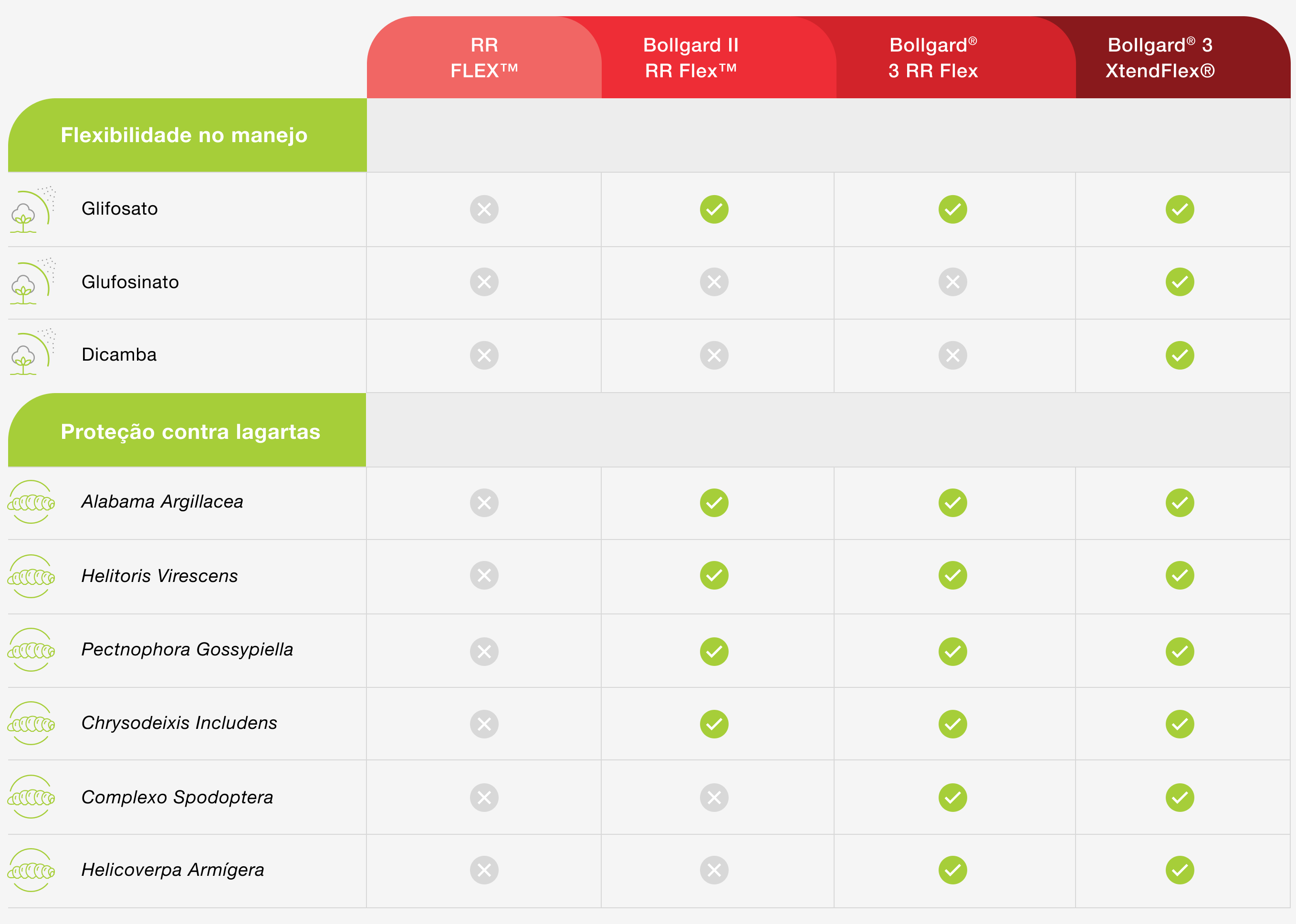 Bollgard®: Tecnologia em Sementes de Algodão